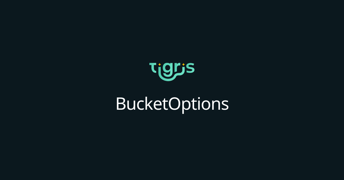 BucketOptions | Tigris Object Storage Documentation