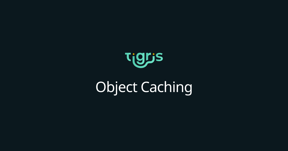 Object Caching | Tigris Object Storage Documentation